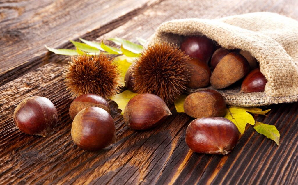 Castanhas – Centro de Medicina Integrativa Dra. Ana Moreira