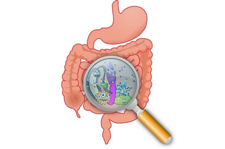 Disbiose Intestinal – Centro de Medicina Integrativa Dra. Ana Moreira
